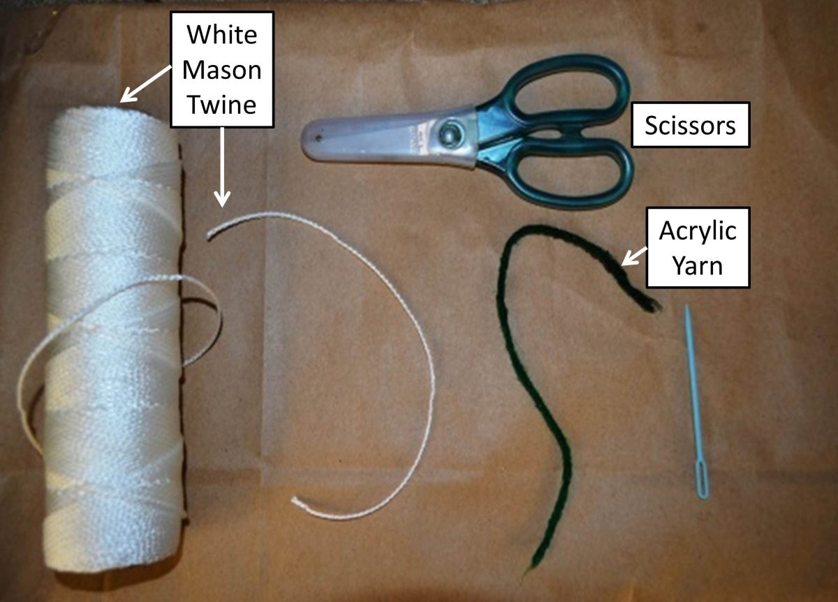 Wick Watering for African Violet Plants – Baby Violets