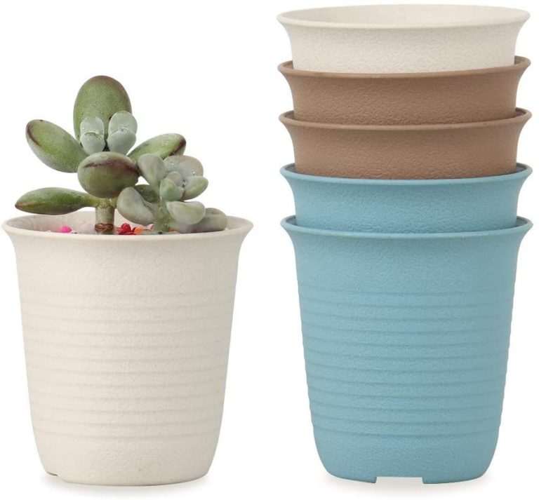 Pots & Potting Media – Baby Violets