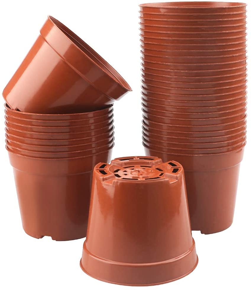 Pots & Potting Media – Baby Violets