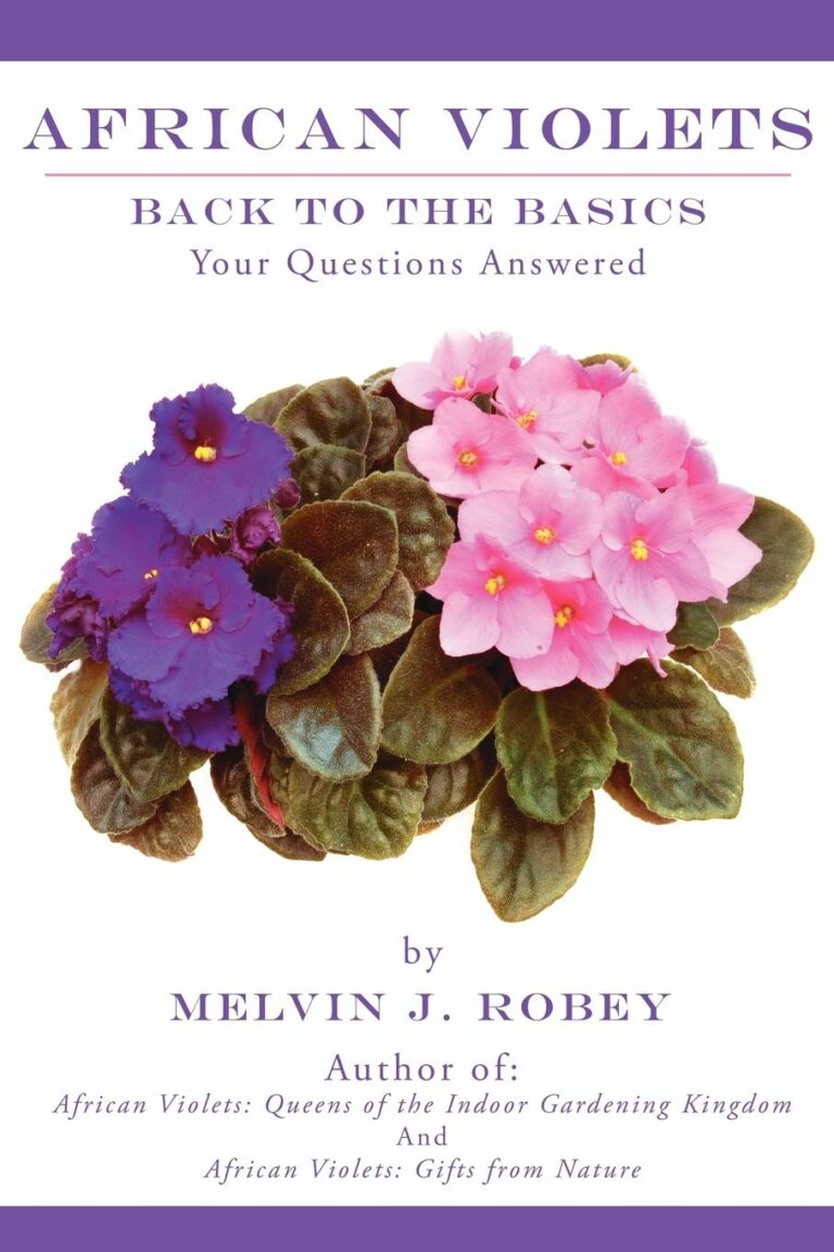 History of African Violet Plants – Baby Violets