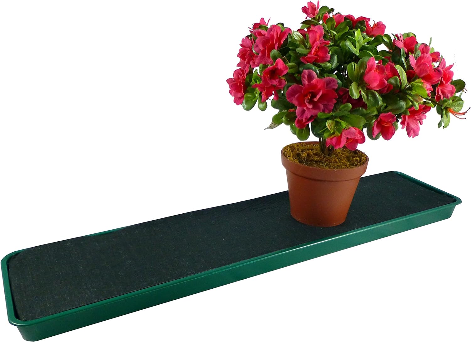 Capillary Mat Watering African Violet Plants : How To Use And Set Up ...