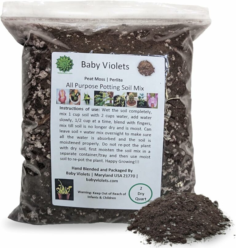 When And How To Divide / Separate African Violet Leaf Babies From ...