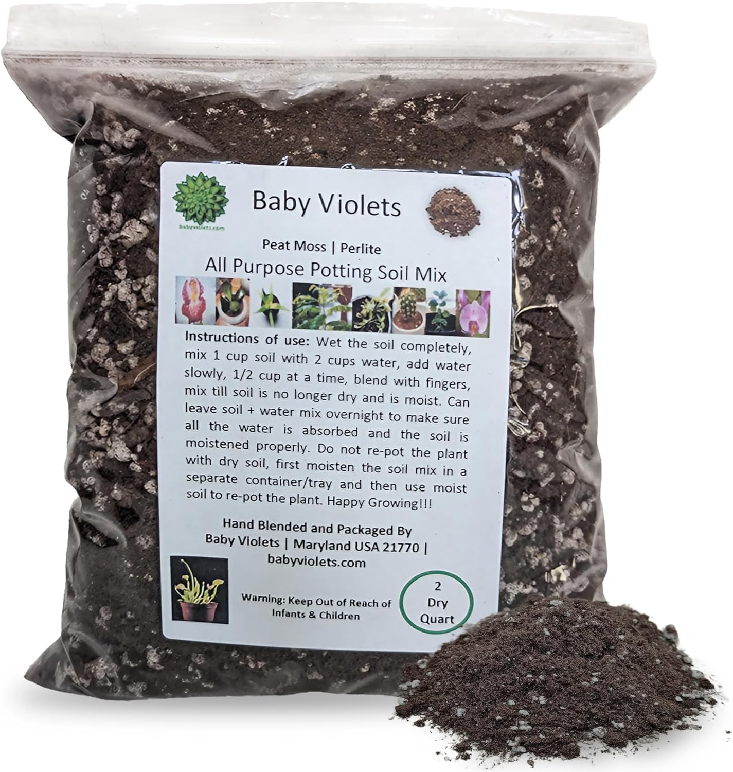 What are the Different Types of African Violet Plants? – Baby Violets