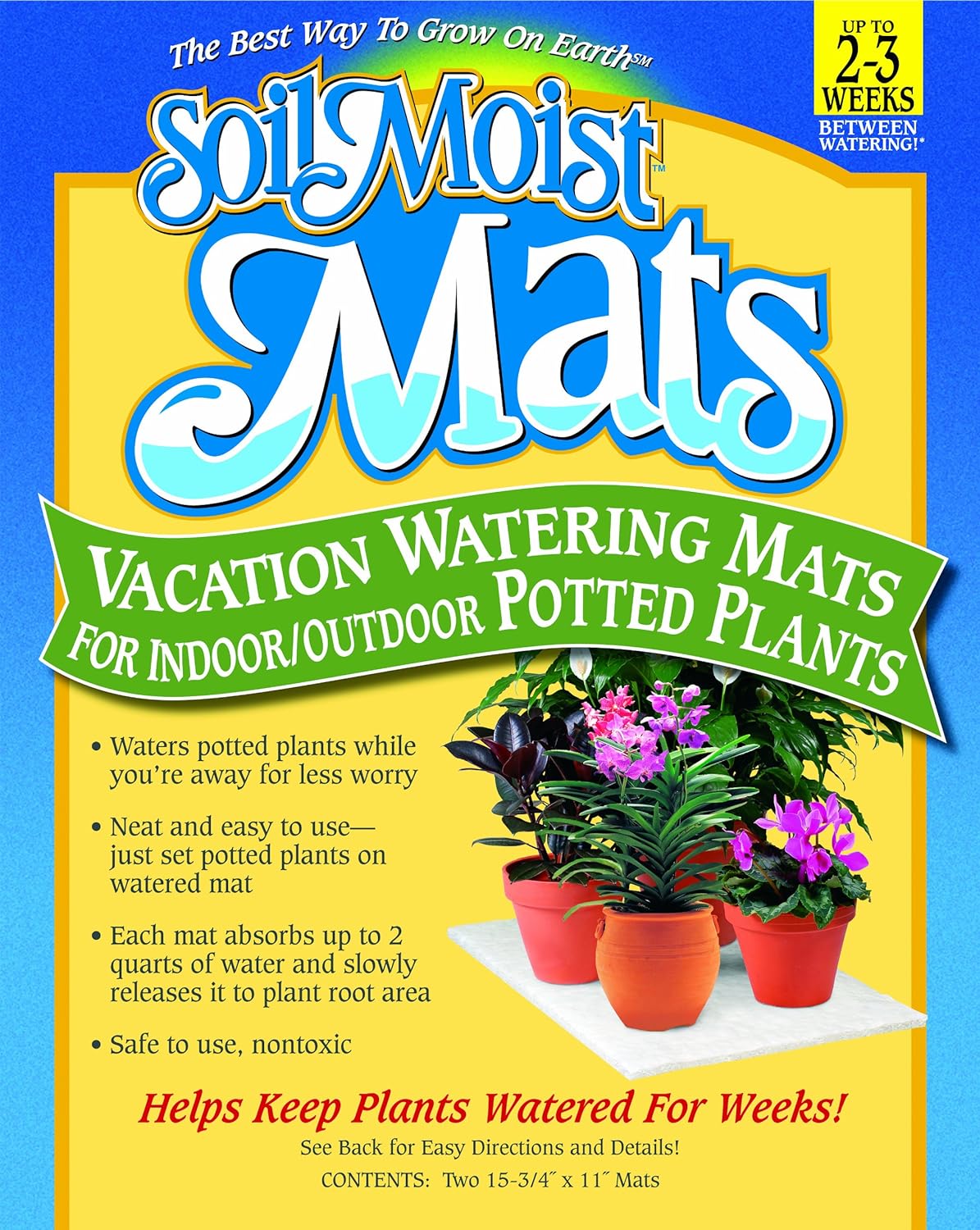 Capillary Mat Watering African Violet Plants : How To Use And Set Up ...